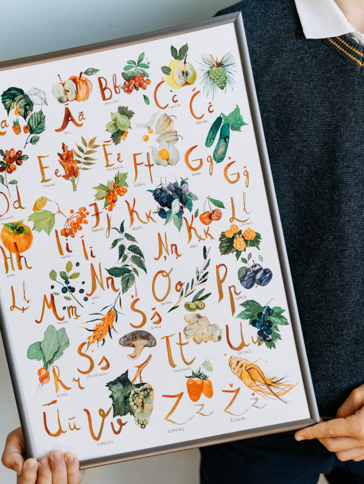 Berry and fruit alphabet poster A3 - ZELT