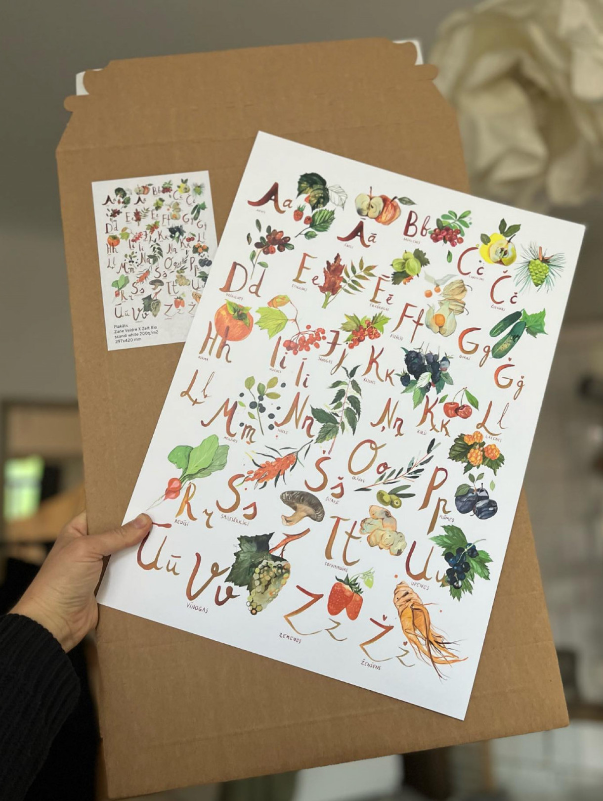 Berry and fruit alphabet poster A3 - ZELT