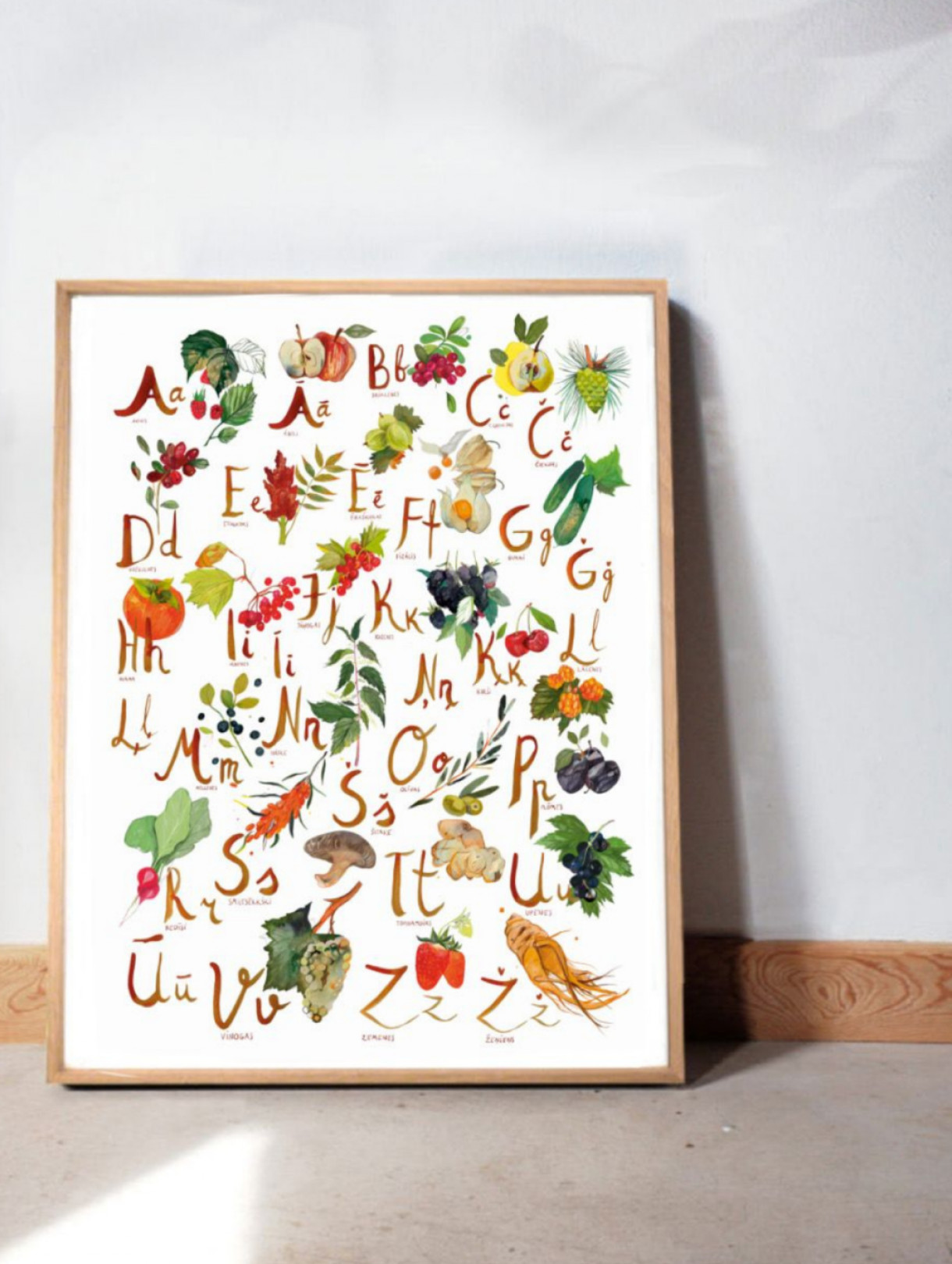 Berry and fruit alphabet poster A3 - ZELT